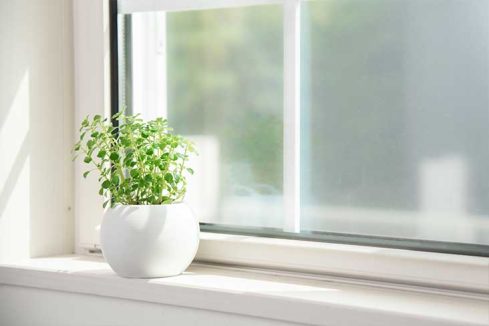 Comment protéger ses fenêtres du vis-à-vis ? - AMCC